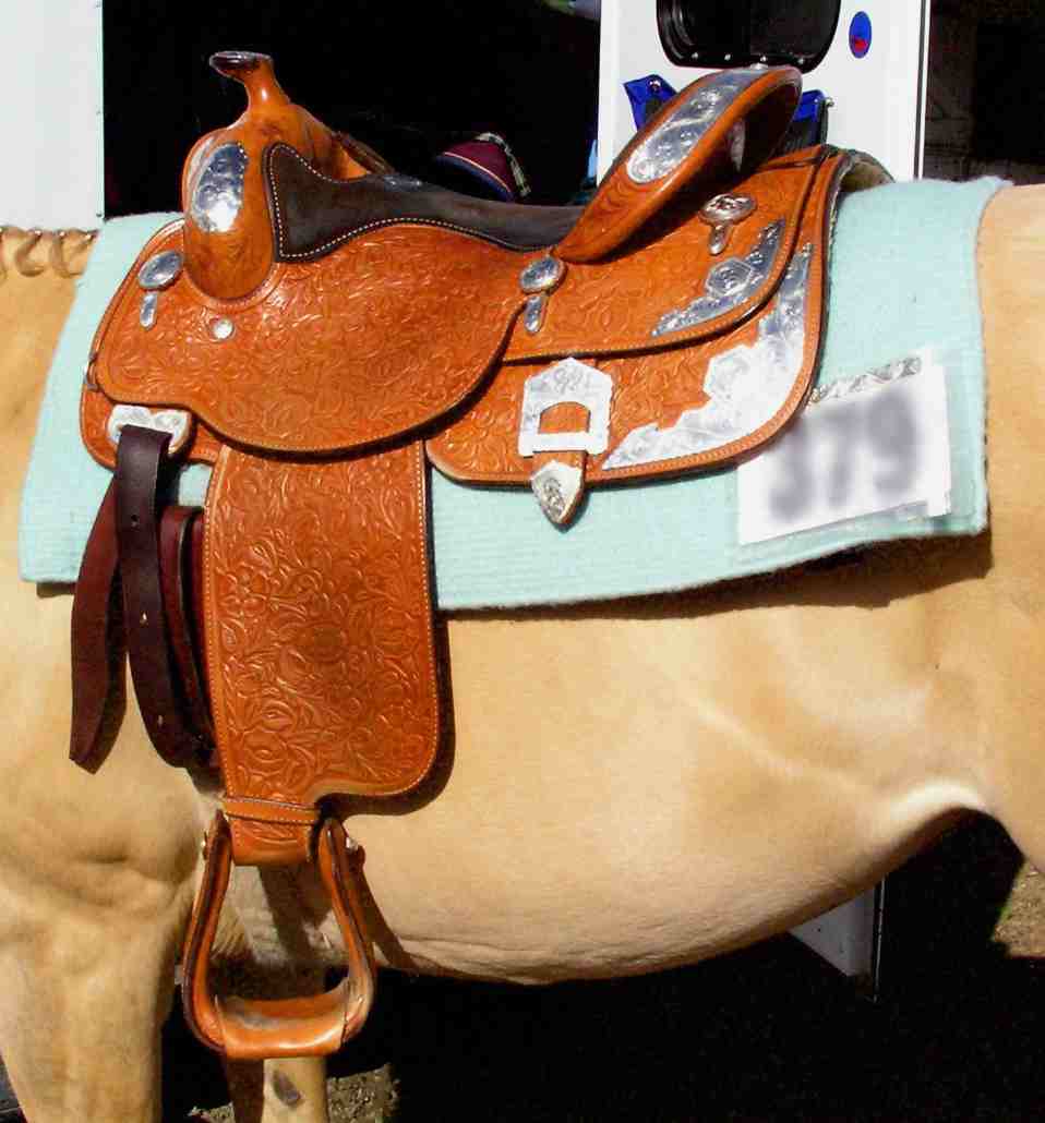 The Best Way To Clean Tack – Horse FactBook