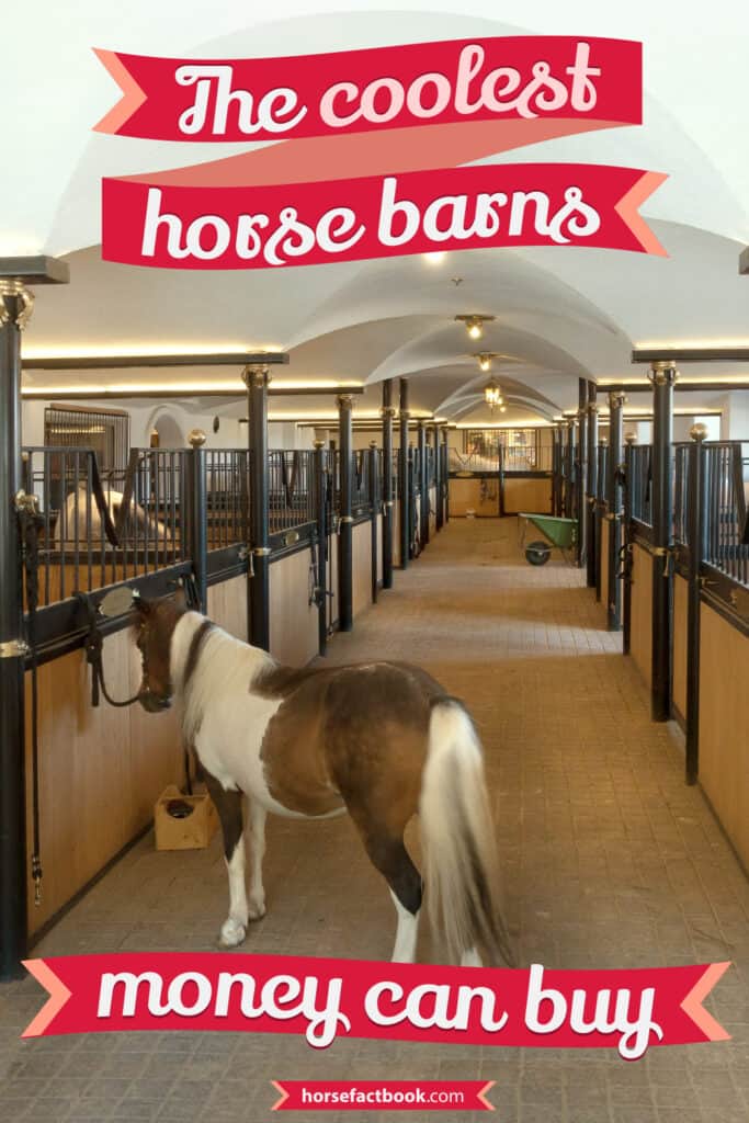 The 14 Coolest (& Most Luxurious) Horse Barns Money Can Buy (with ...