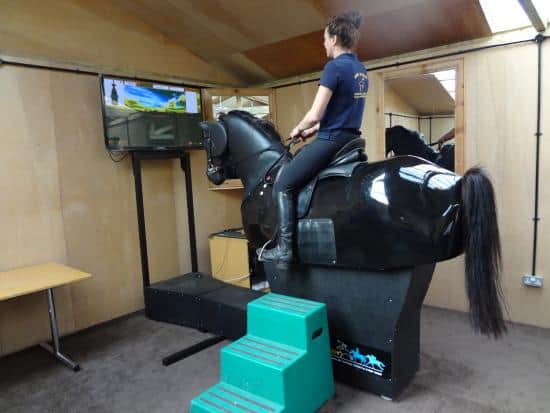 Everything about horses horse simulator exercise machine - handypery