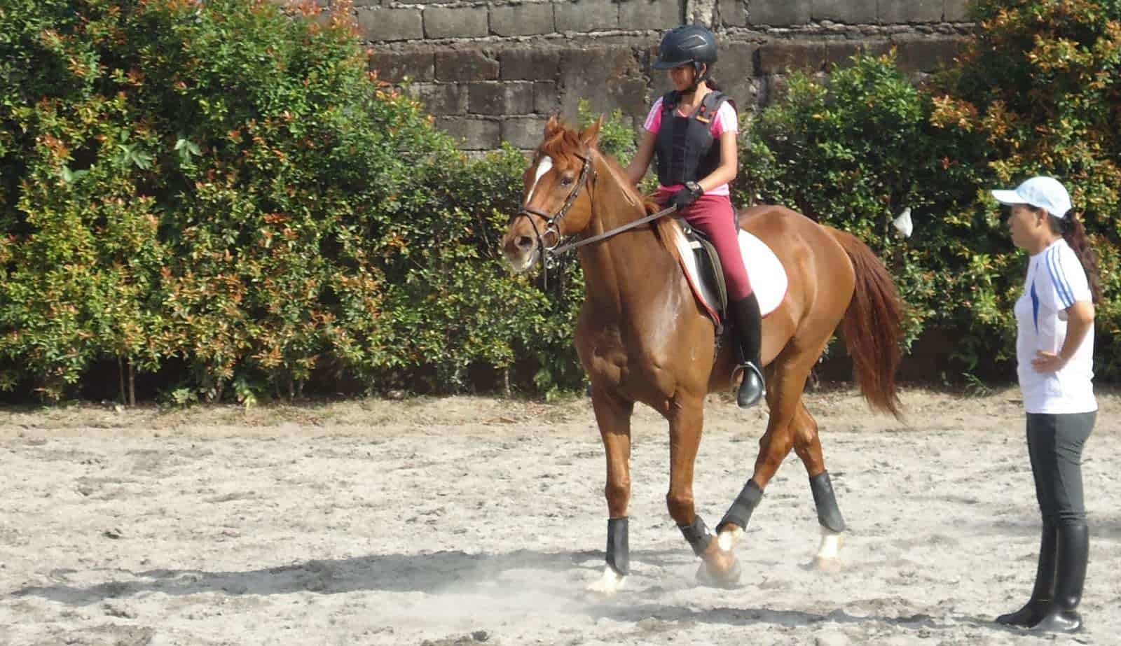 Learn To Ride A Horse In 12 Easy Steps – Horse FactBook