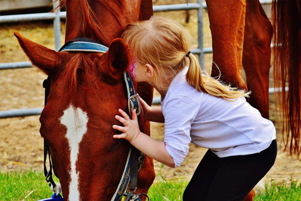 The 12 Best Horse & Pony Breeds For Kids (with videos) – Horse FactBook