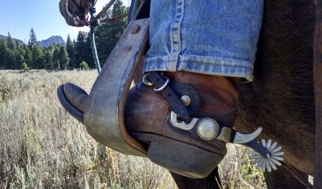 Horse Riding Spurs: Should You Really Be Using Them? – Horse FactBook