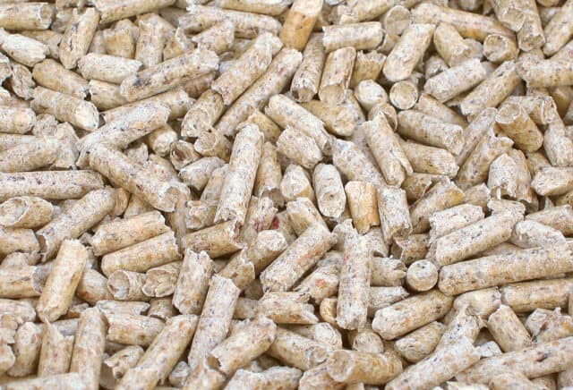 Common Types Of Feed: What You Should Feed Your Horse & How Much ...