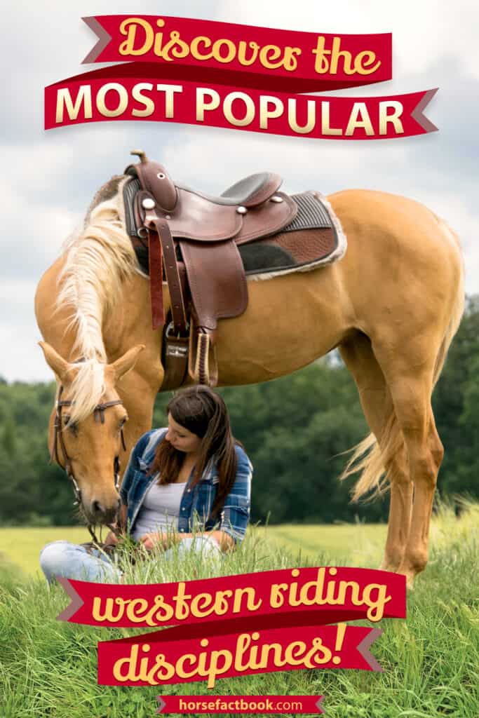 The 14 Most Popular Western Riding Disciplines Explained (with videos ...