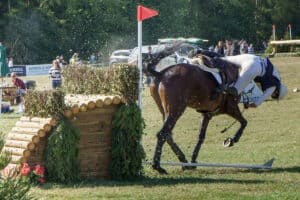 Is Horse Riding Really That Dangerous? – Horse FactBook