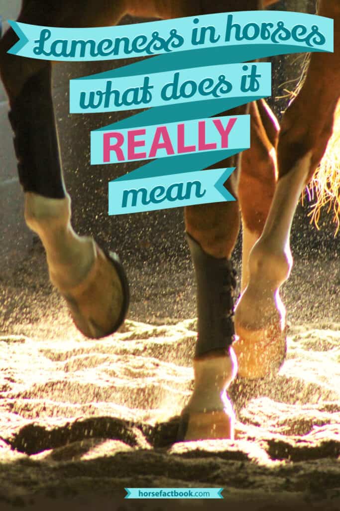 Lameness In Horses: What Does It Really Mean? – Horse FactBook