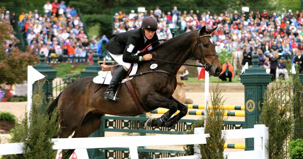 A Visual Guide To 35 Different Horse Jumps By Discipline – Horse FactBook