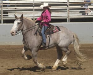 How Much Weight Can A Horse Carry? (With Charts) – Horse FactBook