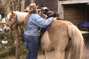 How Much Weight Can A Horse Carry? (With Charts) – Horse FactBook