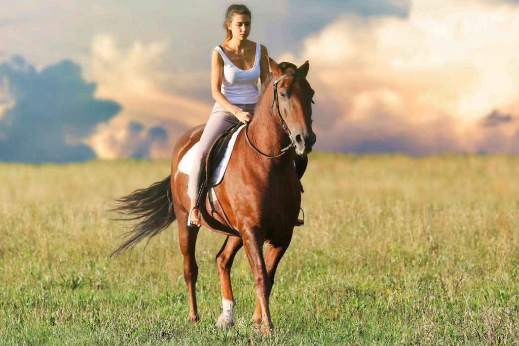 Thinking Of Learning To Ride A Horse? We Way Up The Pros & Cons – Horse ...
