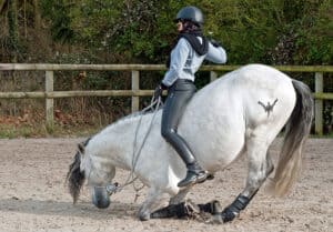 Can I Ride A Horse Without A Saddle And Is It Safe To Do So? – Horse ...