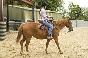 Horse Riding 101: Learn How To Ride A Horse At A Walk – Horse FactBook