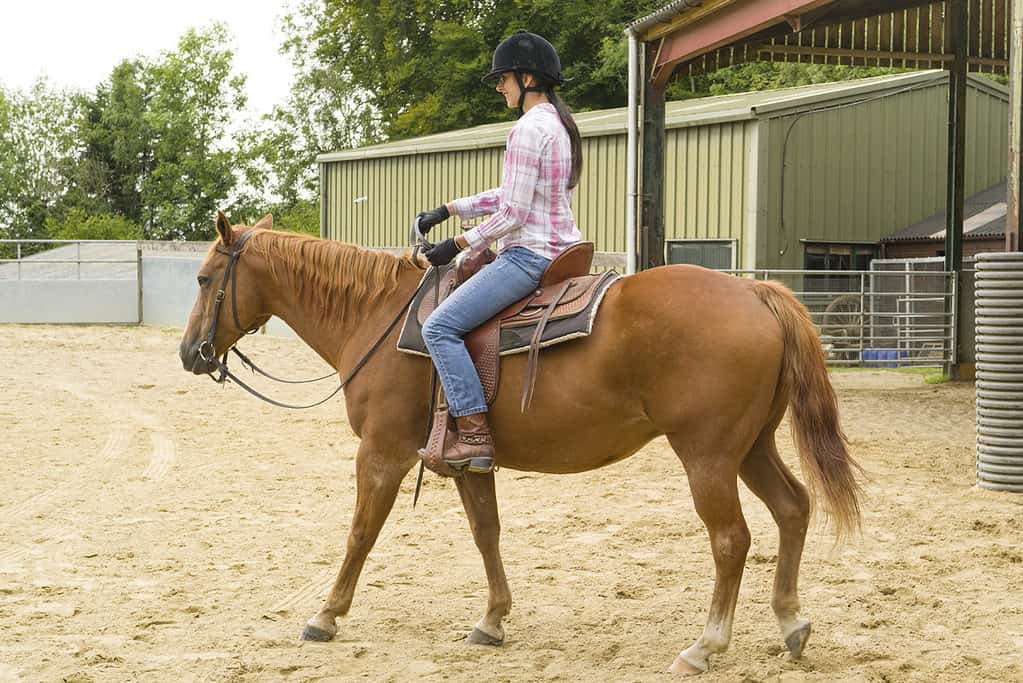 How To Improve (And Maintain) Your Posture When Horseback Riding ...