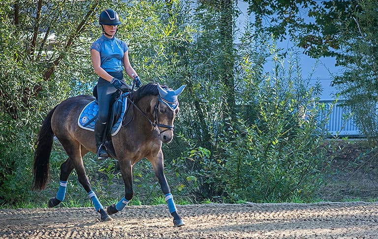Horse Riding 101: Learn How To Ride A Horse At A Trot – Horse FactBook
