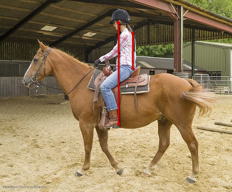 How To Improve (And Maintain) Your Posture When Horseback Riding ...