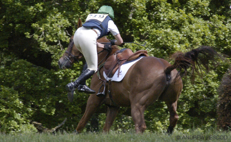 Unscheduled Dismount: How To Fall From A Horse Safely – Horse FactBook