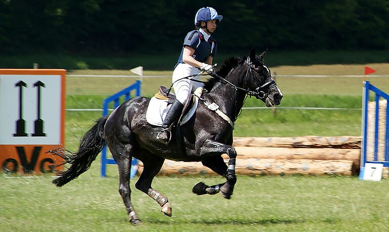 Horseback Riding Attire: A Beginner’s Guide To What To Wear – Horse ...