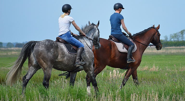 Horseback Riding Attire: A Beginner’s Guide To What To Wear – Horse ...