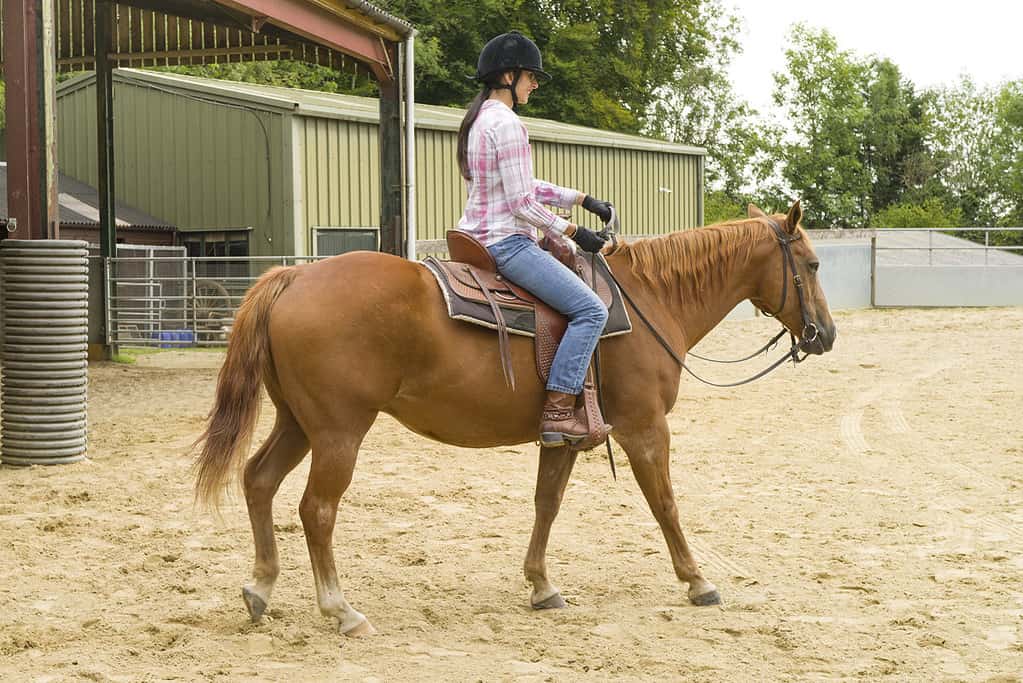 Horseback Riding Attire: A Beginner’s Guide To What To Wear – Horse ...
