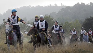 Endurance Riding: A Beginner’s Guide To Getting Started – Horse FactBook