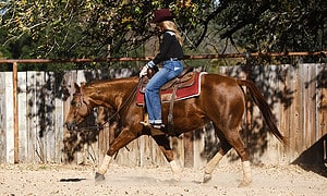 13 Exercises You Can Do At Home To Improve Your Horseback Riding ...