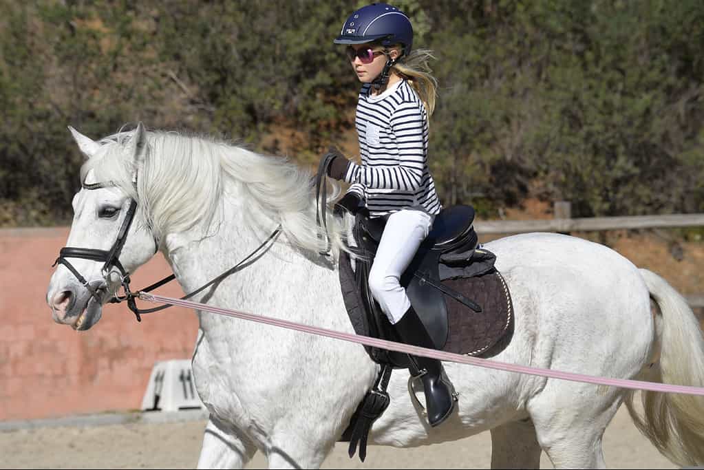 Horse Riding 101: What To Expect From Your First Lesson – Horse FactBook