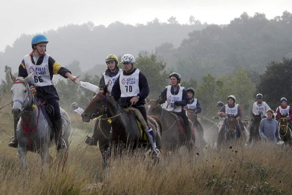 Endurance Riding: A Beginner’s Guide To Getting Started – Horse FactBook