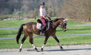 13 Exercises You Can Do At Home To Improve Your Horseback Riding ...