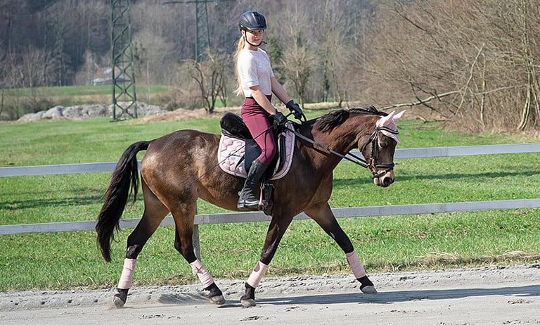 13 Exercises You Can Do At Home To Improve Your Horseback Riding ...