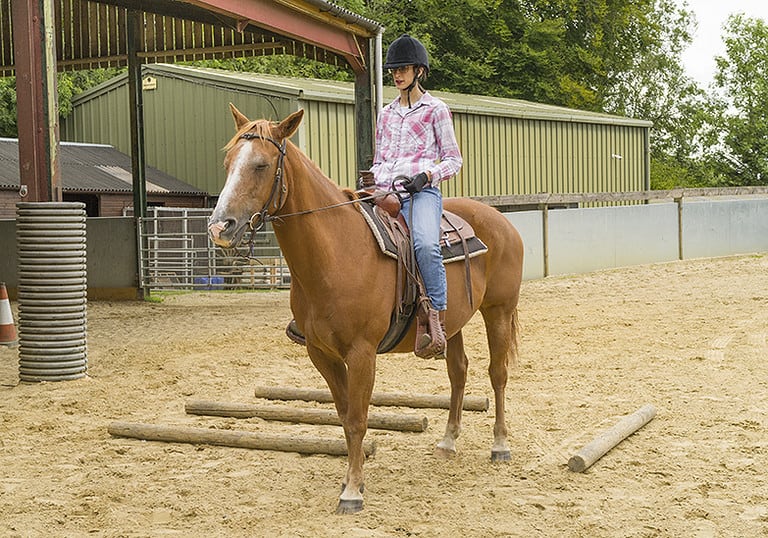 Horse Riding 101: What To Expect From Your First Lesson – Horse FactBook