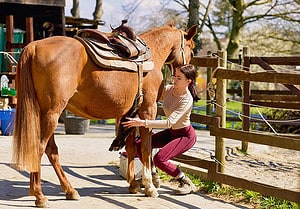 Horse Riding 101: What To Expect From Your First Lesson – Horse FactBook