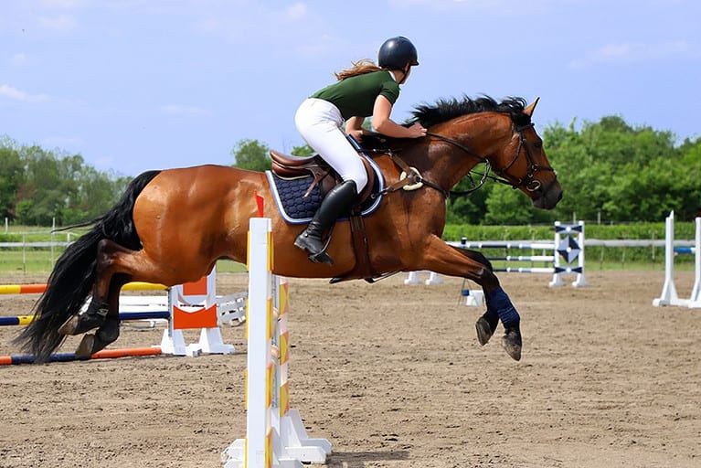 How To Walk The Course: A Beginner’s Guide (With Stride Chart) – Horse ...