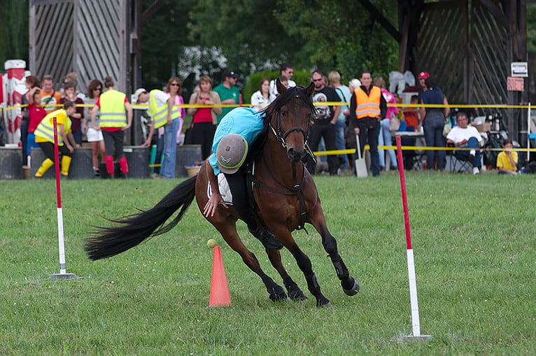 Gymkhana: Everything You Need To Know About The Sport – Horse FactBook