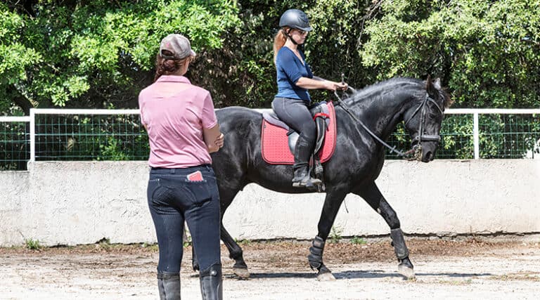 8 Essential Rules To Help You Stay Safe Around Horses – Horse FactBook