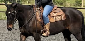 Western Horse Riding Attire: A Complete Guide To What To Wear – Horse ...